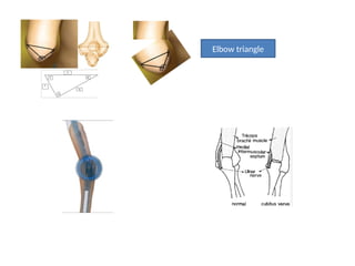Baumann's angle, cubitus varus,Cubitus valgus.pptx