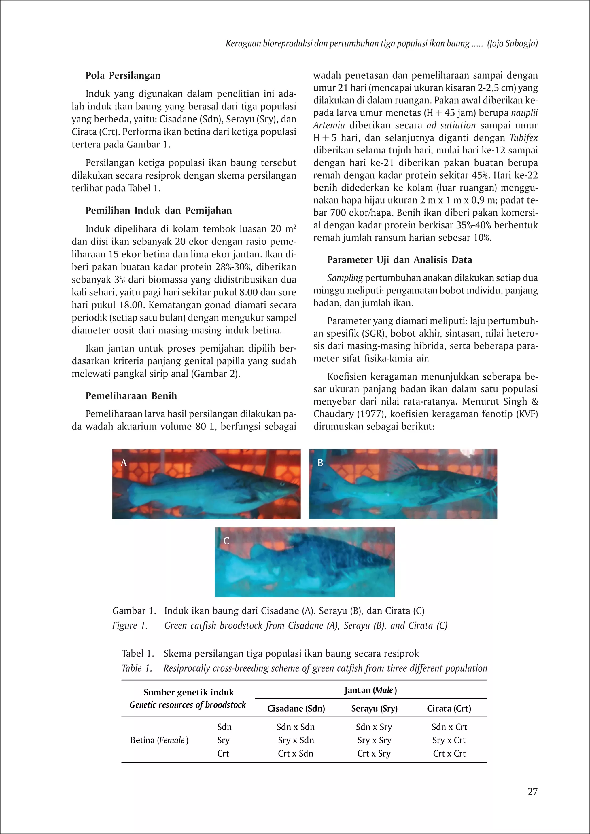 Baung 3 populasi jojo-jra- 2015 | PDF