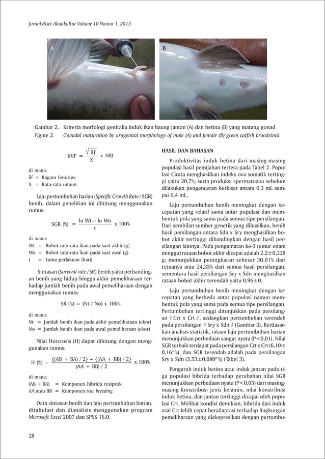 Baung 3 populasi jojo-jra- 2015 | PDF