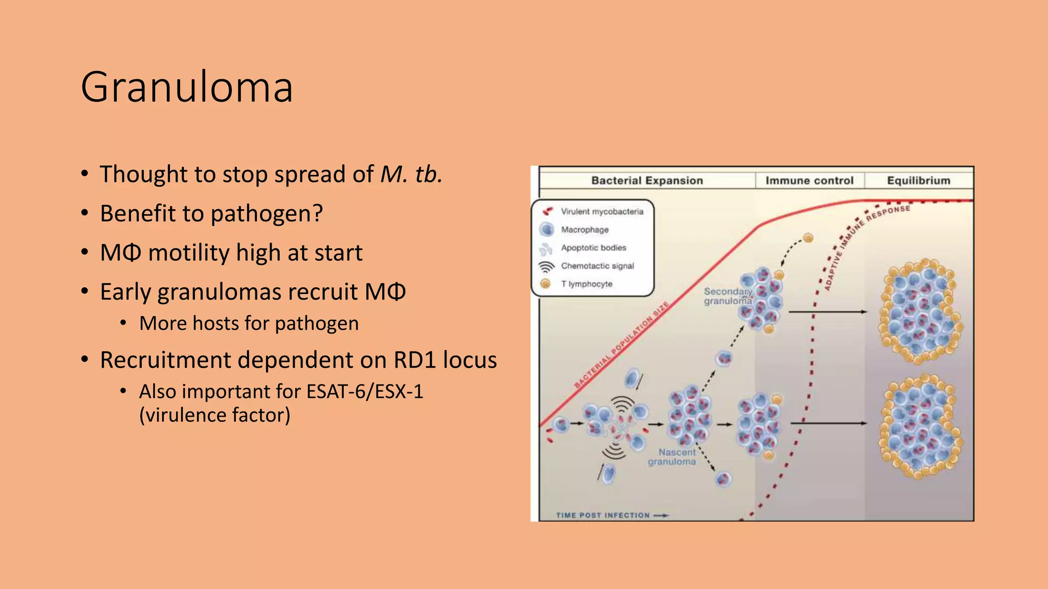 Evasion of the host immune response by Mycobacterium tuberculosis | PPTX