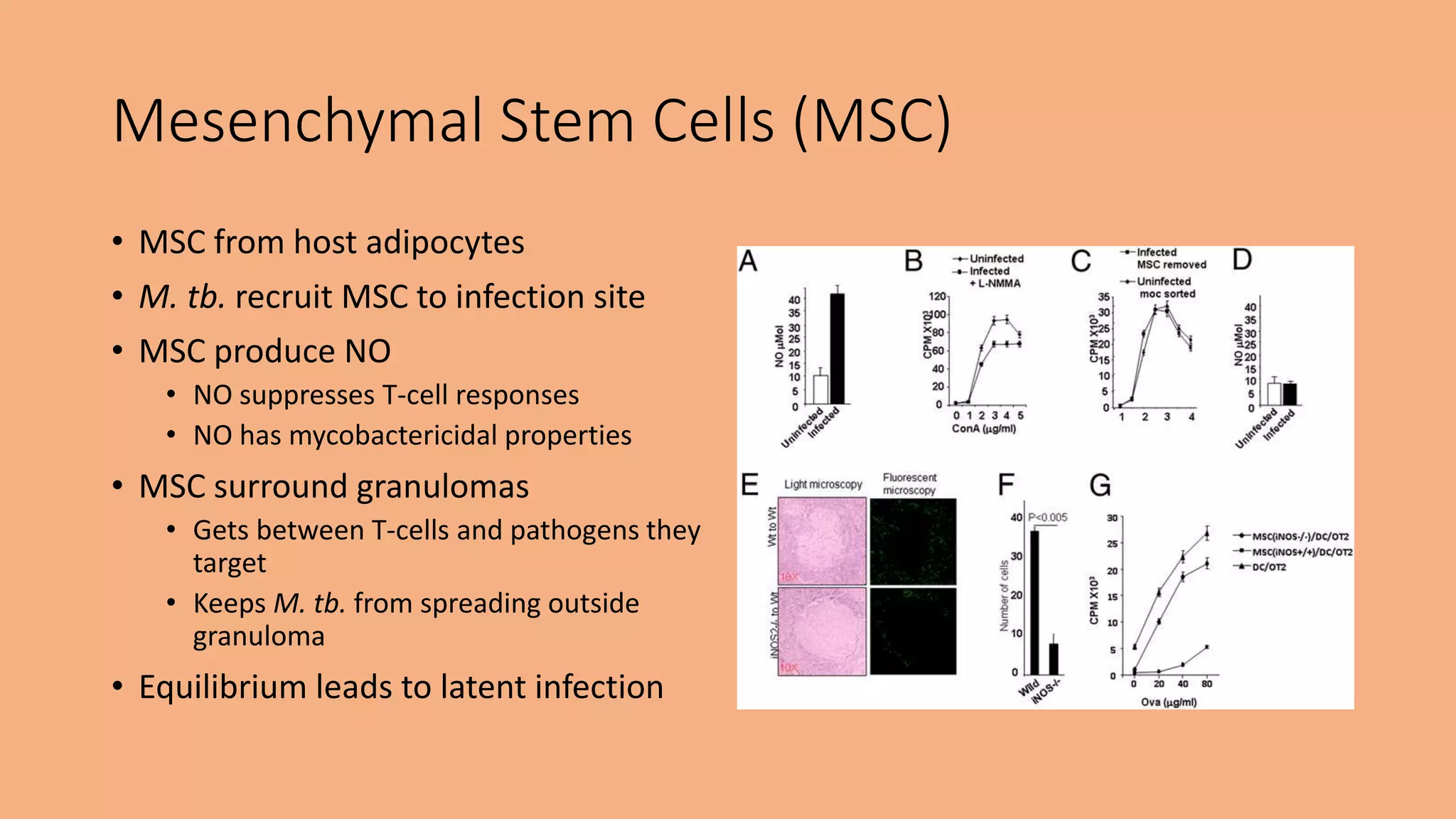 Evasion of the host immune response by Mycobacterium tuberculosis | PPTX