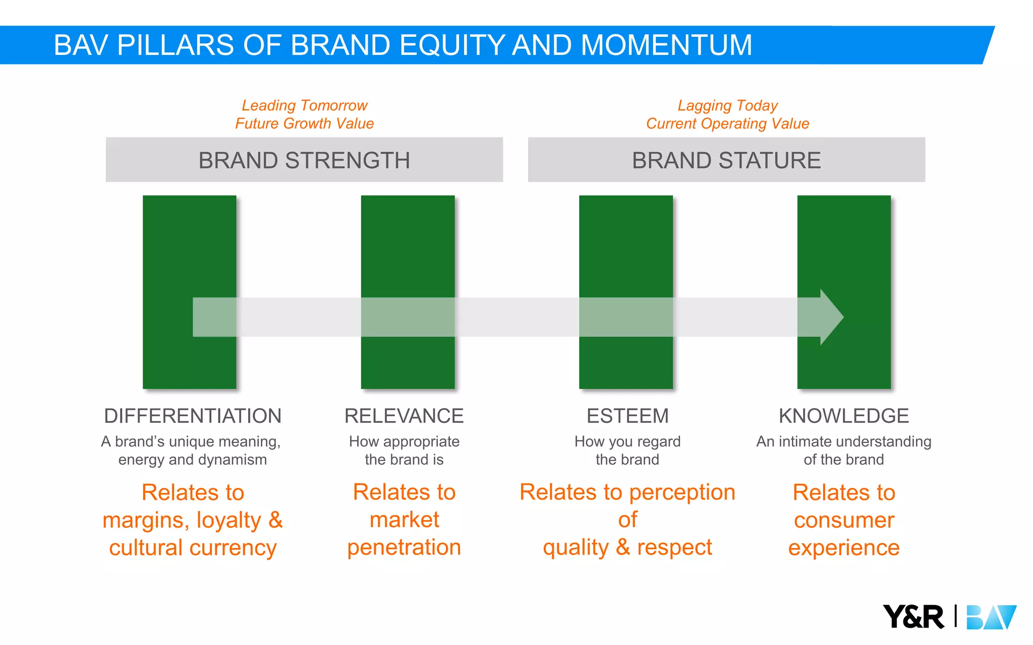An Introduction to BAV® & Brand Tensity™ | PDF