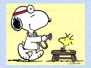 Bruce Wagman, Animal Shelter Litigation | PPT | Veterinary Medicine | Pets