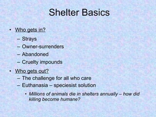 Bruce Wagman, Animal Shelter Litigation | PPT | Veterinary Medicine | Pets