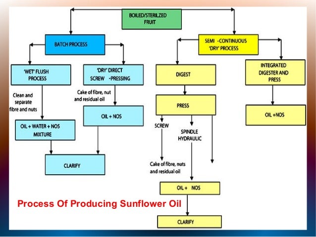 Sunflower Oil