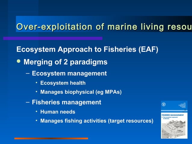 Bay of Bengal Large Marine Ecosystem | PPT