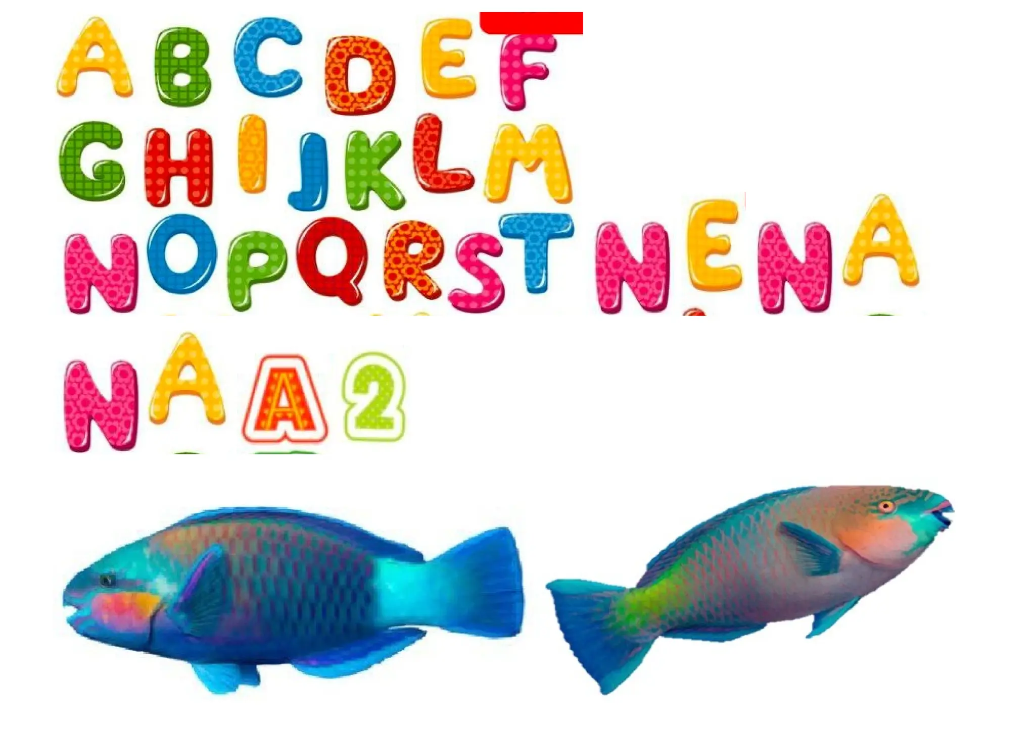 IKAN bayan.docx PSV TAHUN 2, HASILKAN POSTER SELAMATKAN IKAN BAYAN | DOCX