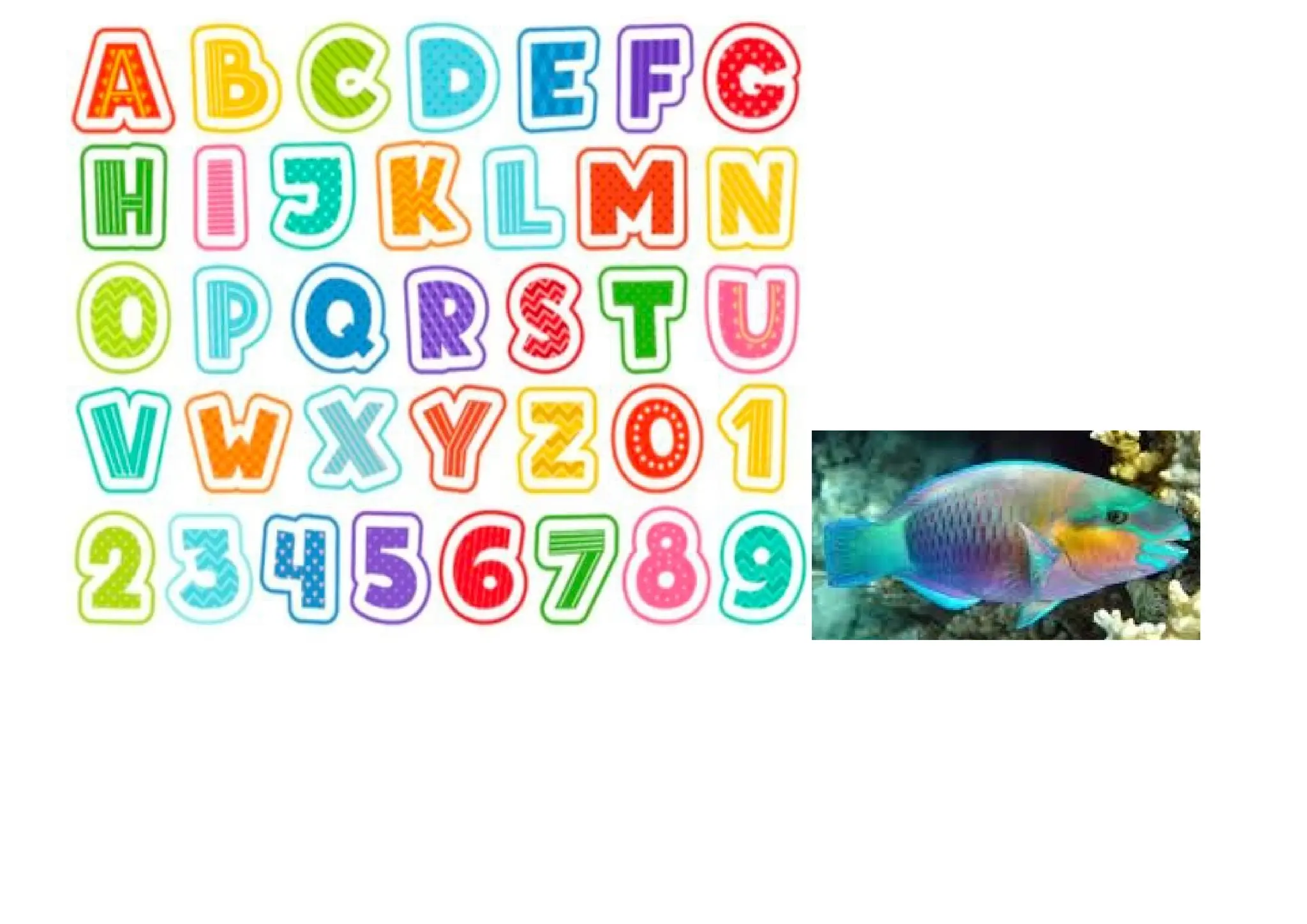 IKAN bayan.docx PSV TAHUN 2, HASILKAN POSTER SELAMATKAN IKAN BAYAN | DOCX