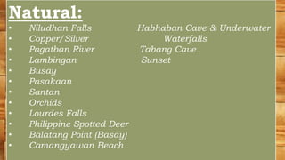 Bayawan and Basay Cultural Mapping | PPT