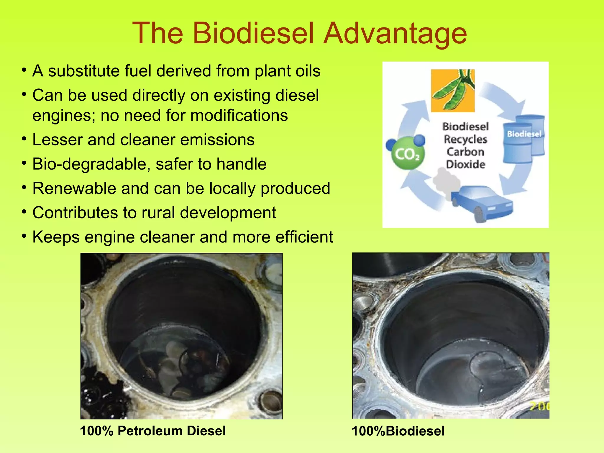 Bayawan City Biodiesel Project | PPT