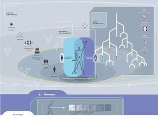 Ramana Rao Information Flow diagrams | PPT
