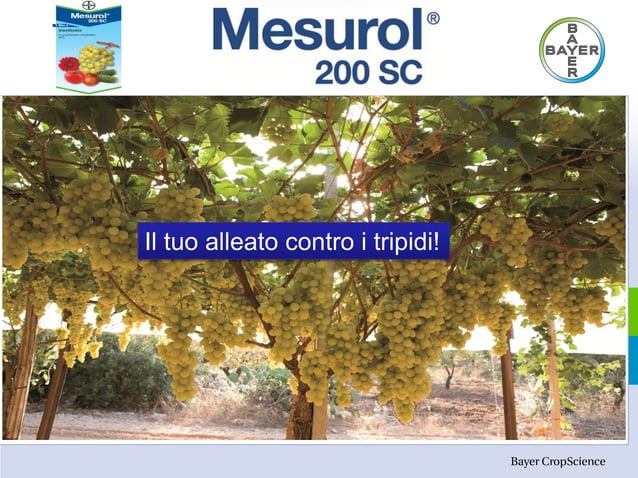 Bayer mesurol-fmv-2012 | PPT