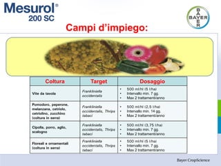 Bayer mesurol-fmv-2012 | PDF | Gardening | Home & Garden