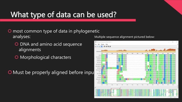 Bayesian Phylogenetics - Systematics.pptx