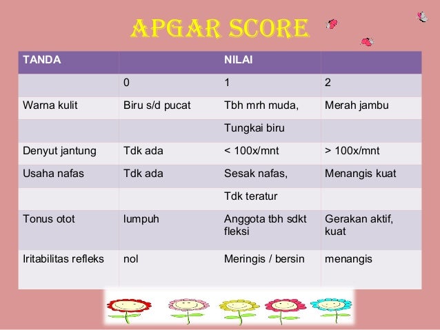 Bayi baru lahir normal