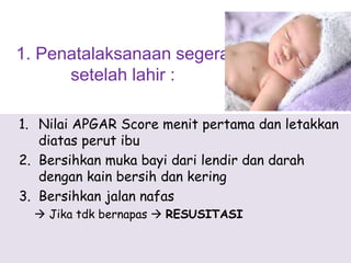 Bayi baru lahir normal | PPT