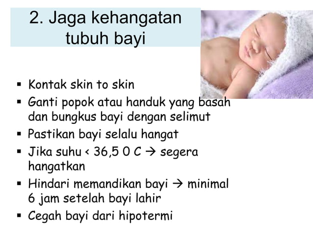Bayi baru lahir normal | PPT