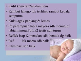 Bayi baru lahir normal | PPT