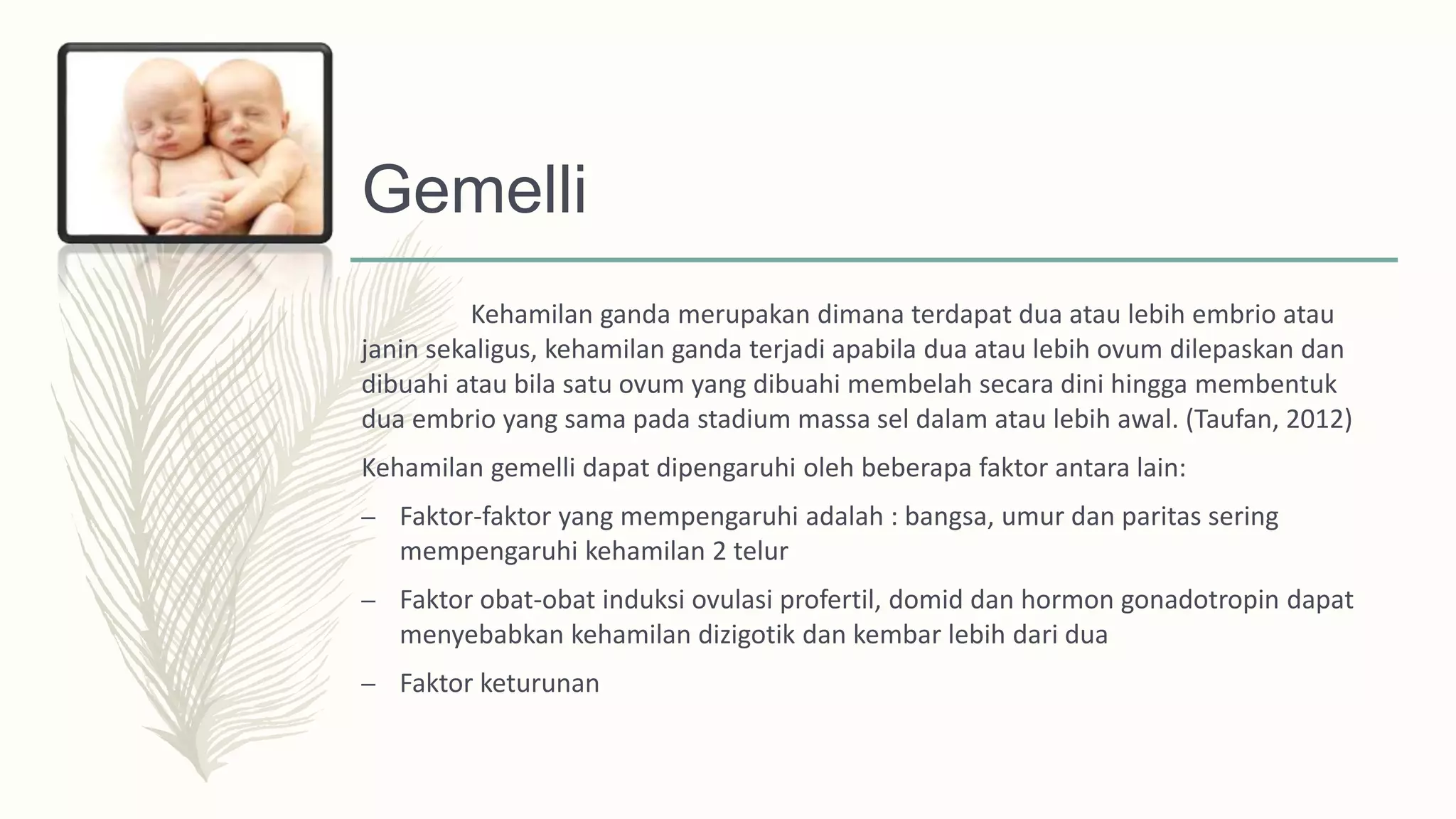 Bayi Besar, Hydrocephalus, Anence Phallus | PPTX