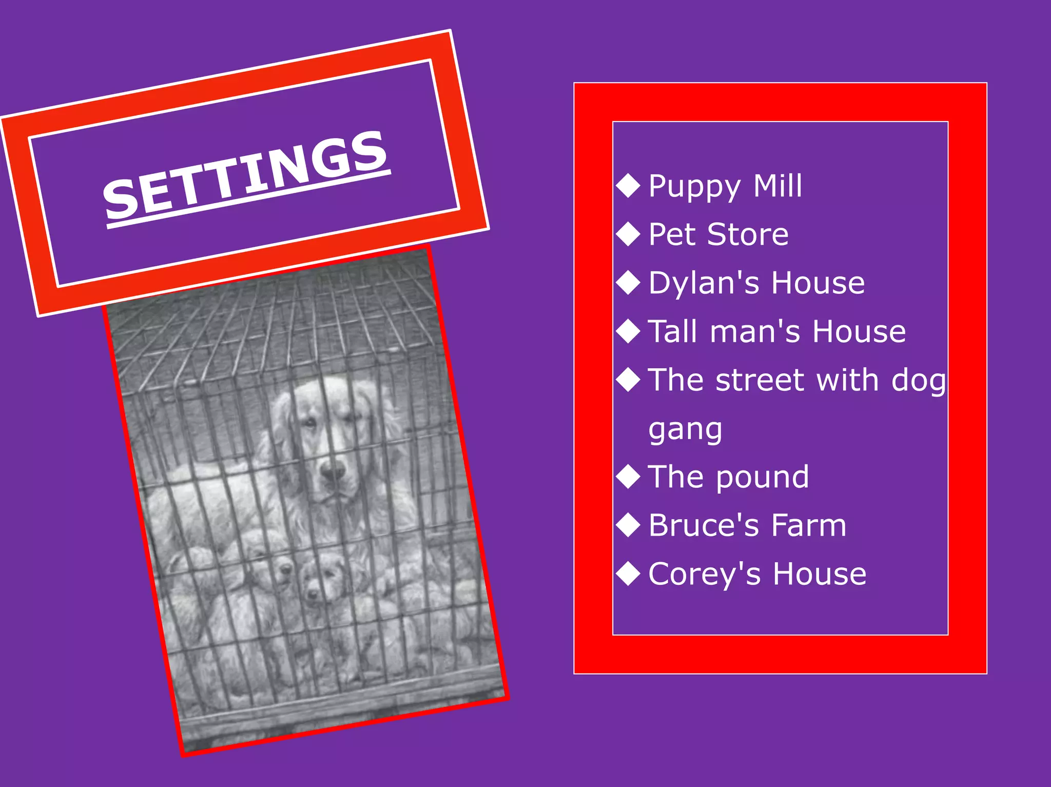 Baylie Book Report PPT | PPT | Dogs | Pets