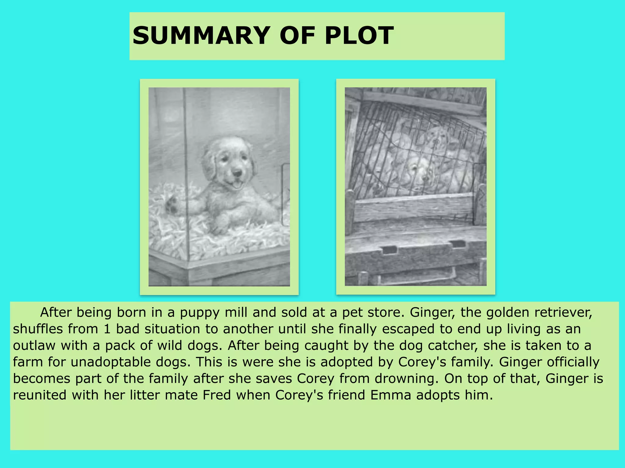 Baylie Book Report PPT | PPT | Dogs | Pets