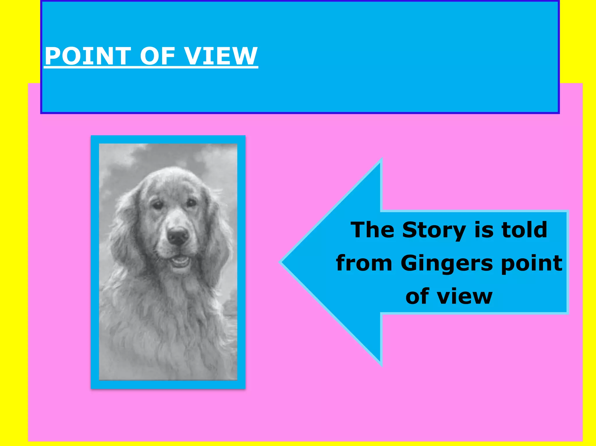 Baylie Book Report PPT | PPT | Dogs | Pets