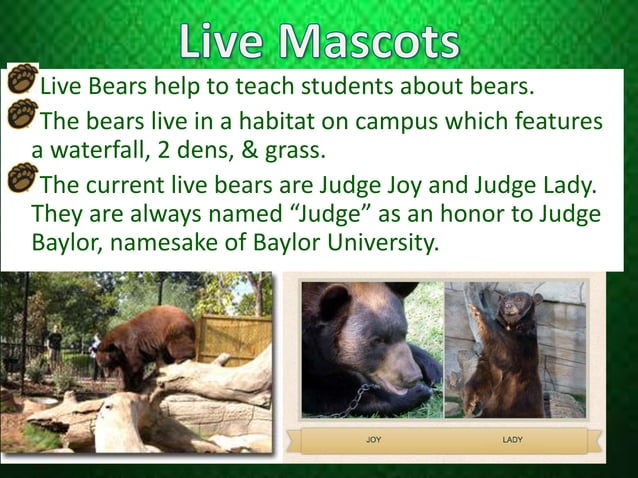 Baylor University | PPTX | College Education | Education