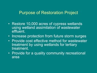 Bayou Bienvenue Restoration: A Truly Community-Driven Project | PPT
