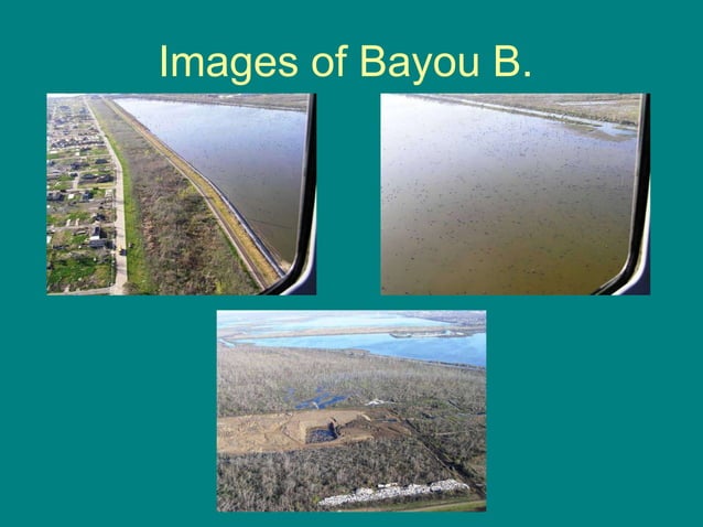 Bayou Bienvenue Restoration: A Truly Community-Driven Project | PPT