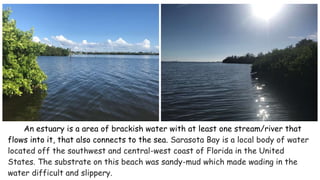 Bayshore park report | PPTX