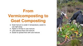 Bayside Park Farm: Vermicomposting | PPTX