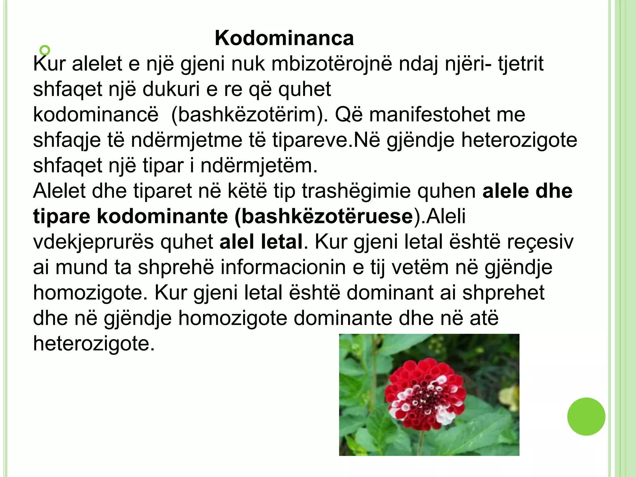 Bazat e gjenetikes moderne | PPTX