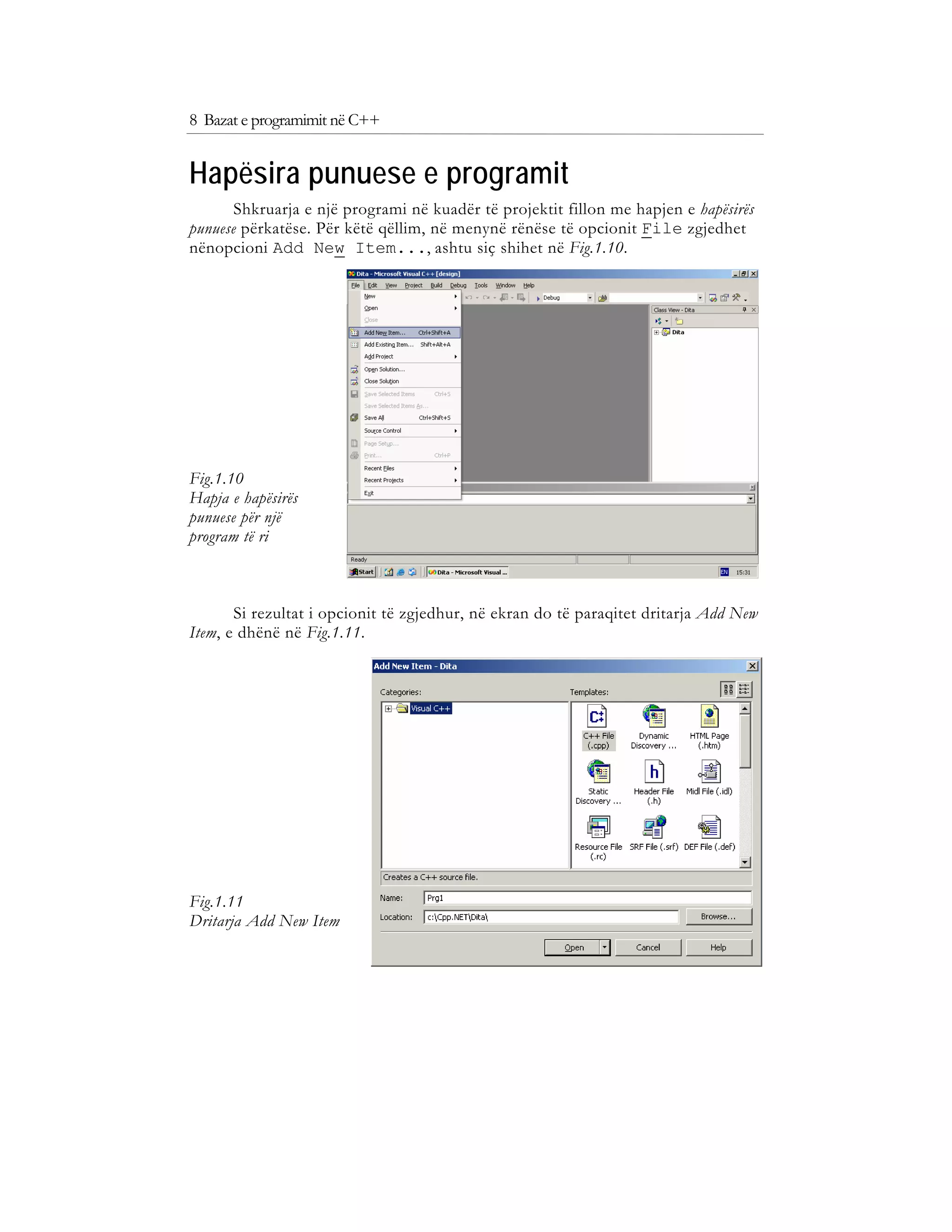 Bazat e programimit ne C++ (agni dika) | PDF