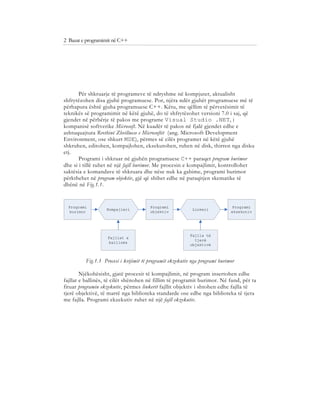 Bazat e programimit ne C++ (agni dika) | PDF