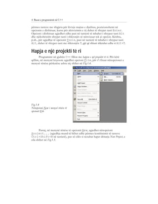 Bazat e programimit ne C++ (agni dika) | PDF