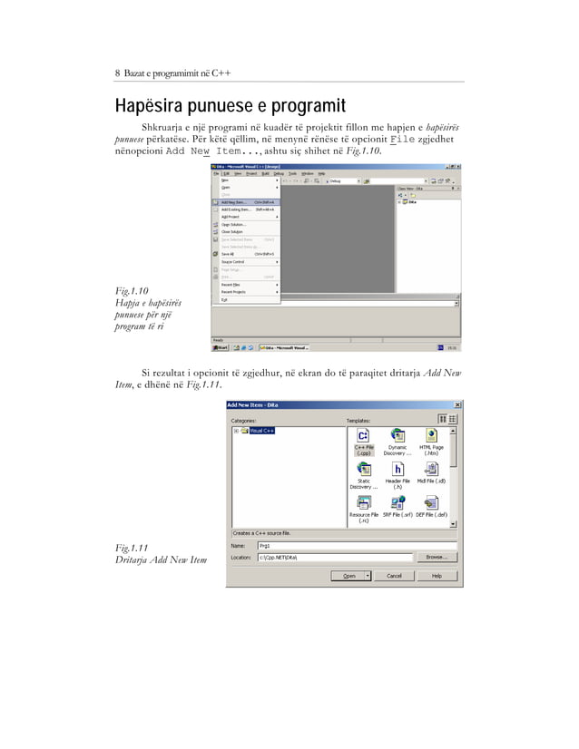 Bazat e programimit ne C++ (agni dika) | PDF
