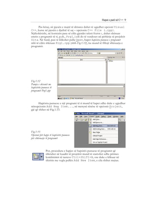Bazat e programimit ne C++ (agni dika) | PDF
