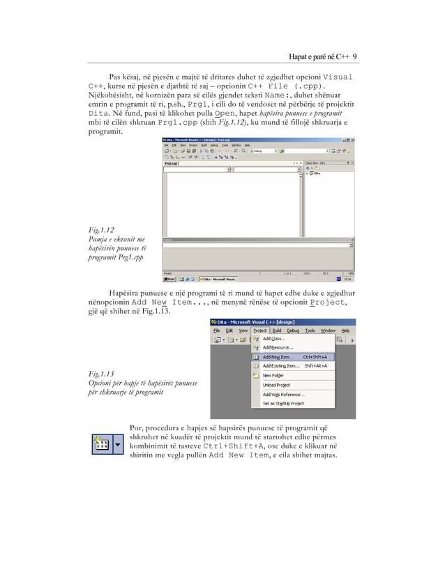Bazat e programimit ne C++ (agni dika) | PDF
