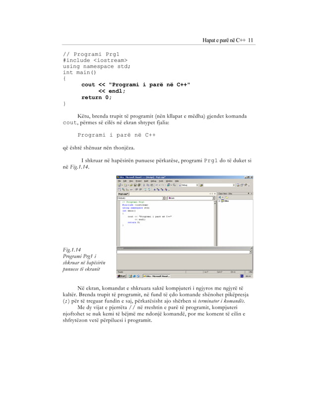 Bazat e programimit ne C++ (agni dika) | PDF