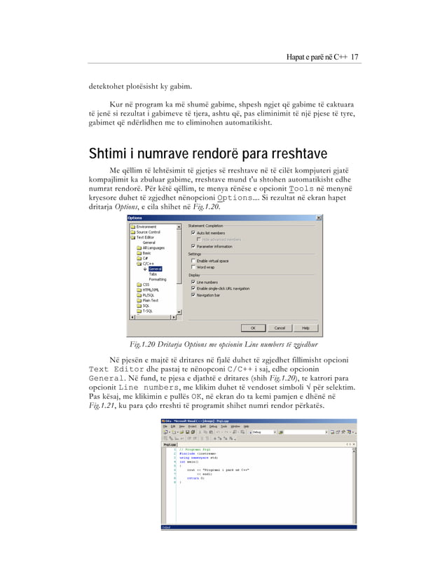 Bazat e programimit ne C++ (agni dika) | PDF