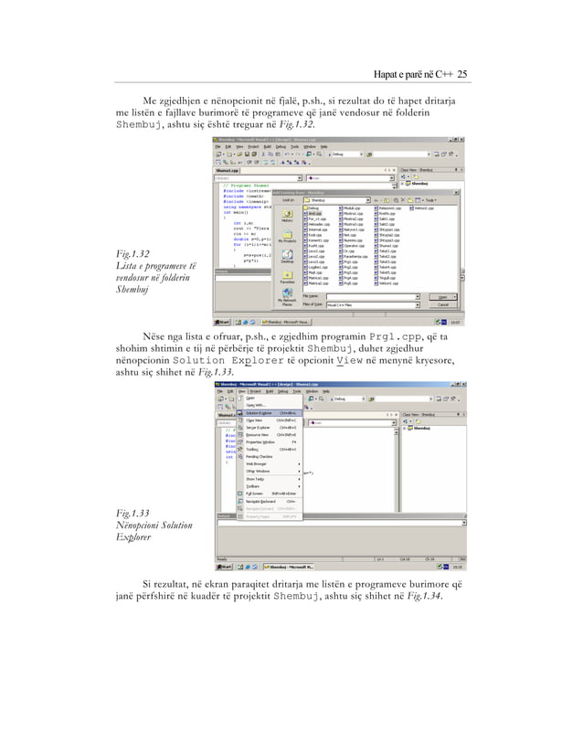 Bazat e programimit ne C++ (agni dika) | PDF