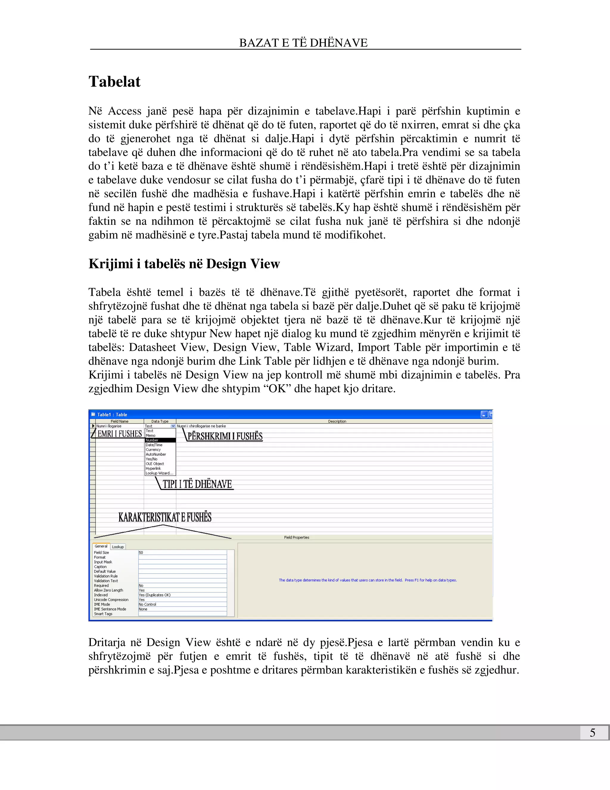 Bazat e Te Dhenave - ACCESS | PDF