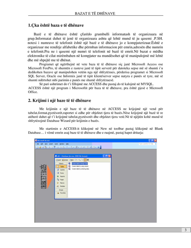 Bazat e Te Dhenave - ACCESS | PDF