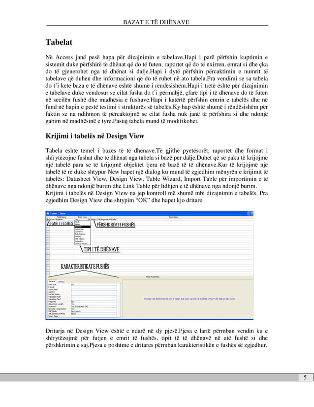 Bazat e Te Dhenave - ACCESS | PDF