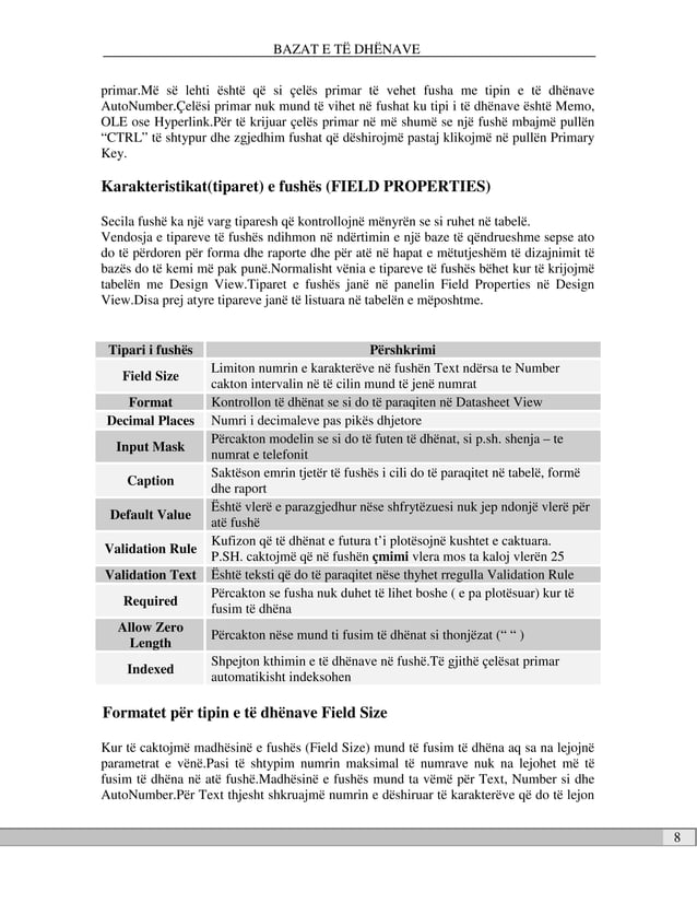 Bazat e Te Dhenave - ACCESS | PDF