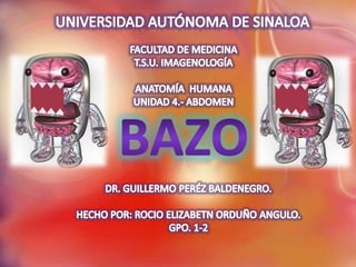 Bazo. | PPTX