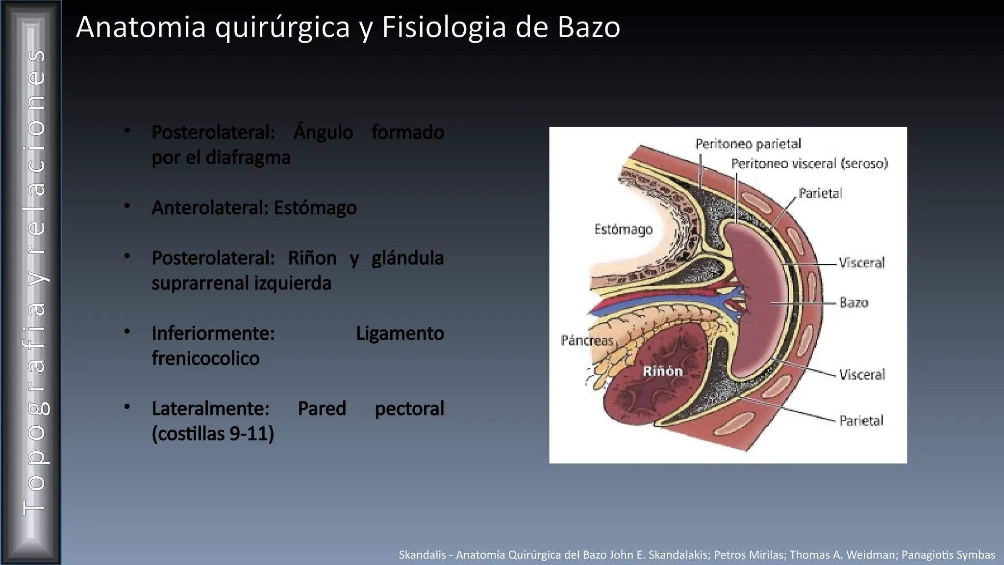 antomia quirurgica y fisiologia del bazo.pptx