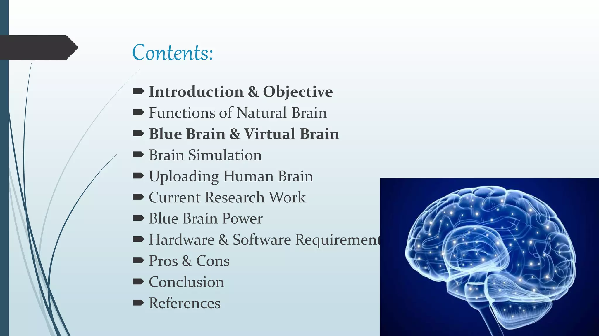 Blue Brain | PPT