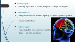 Blue Brain | PPT