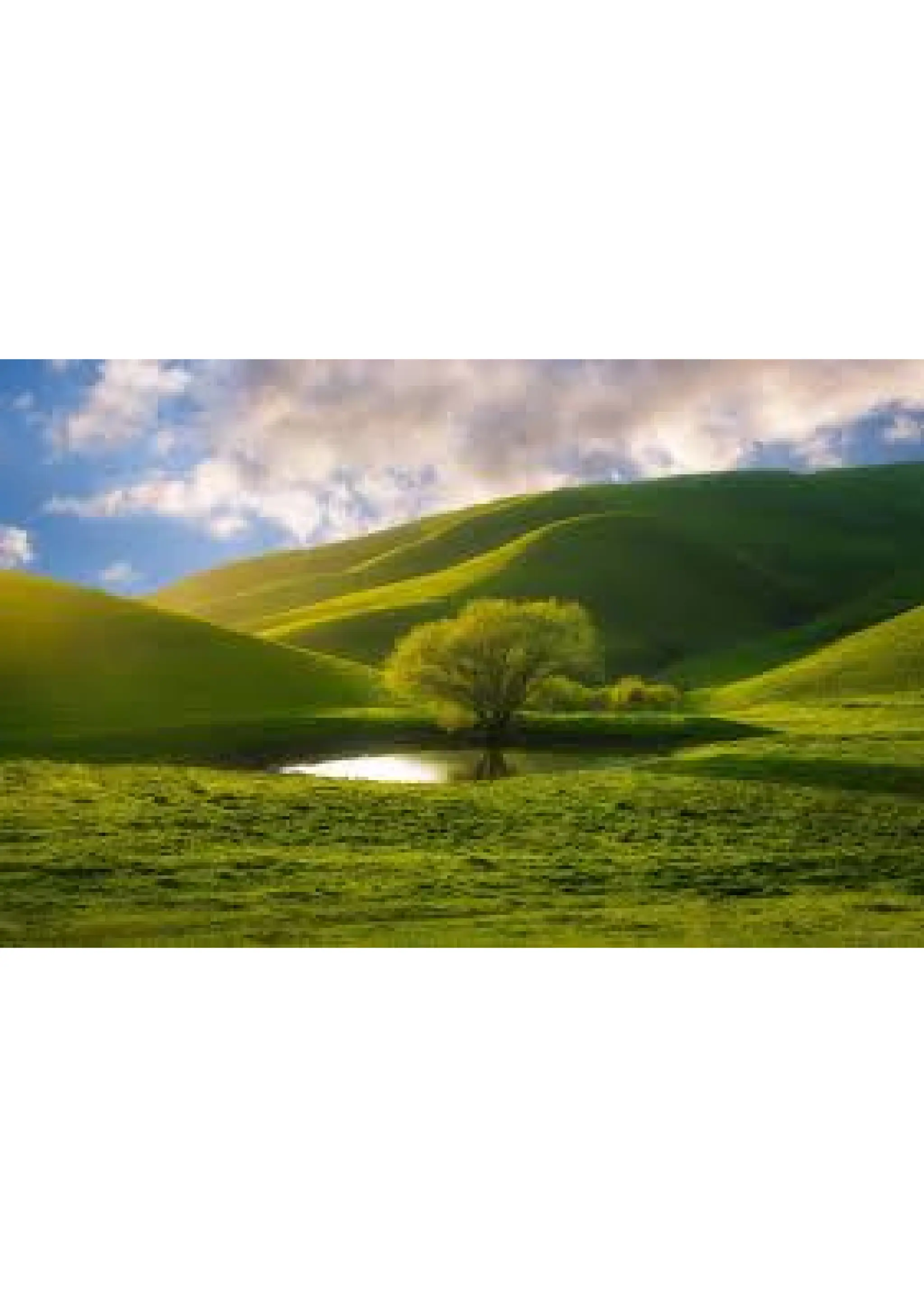 The Ultimate Guide to Understanding Humidity and Its Effects | PDF